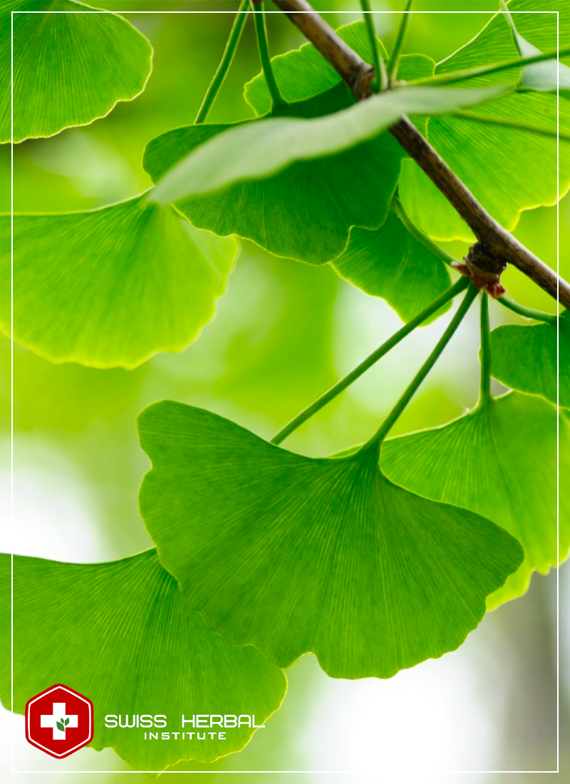 MEMOSTIM™ MAX - Swiss Herbal Shop